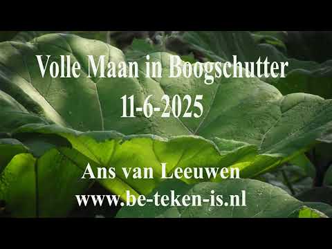Volle Maan in Boogschutter 11 6 2025
