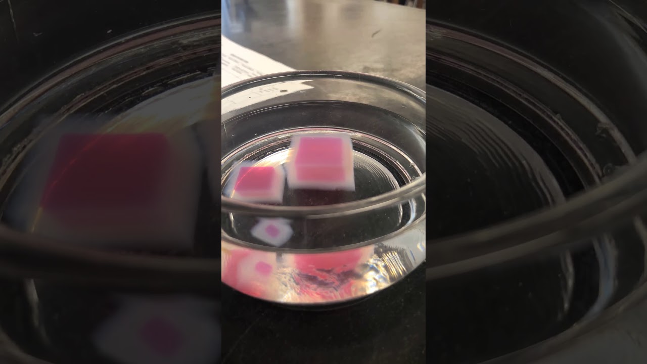 Diffusion demonstration - agar in vinegar