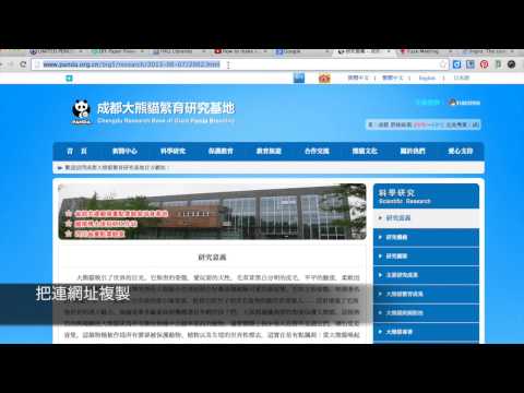 How to use Lingro for language learning