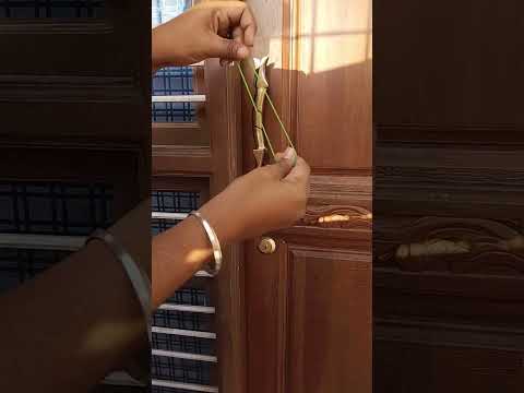 Use Rubber band for door.