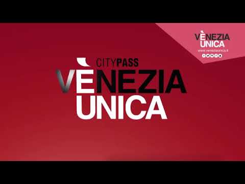 Getting around in Venice: mobility system 2