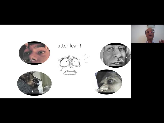 What not to miss in Vertigo - Sudhir Kothar