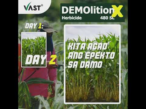 DEMOLITION X EXTRA STRONG