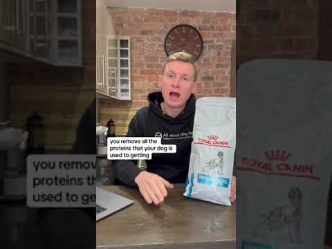 Royal Canin Hypoallergenic DOG FOOD REVIEW - AADF #RoyalCaninDogFood #HypoallergenicDogFood