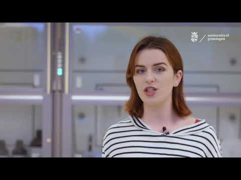 Study MSc Marine Biology at the University of Groningen | A student's experience