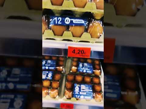 Egg prices in Portugal #askrudyai