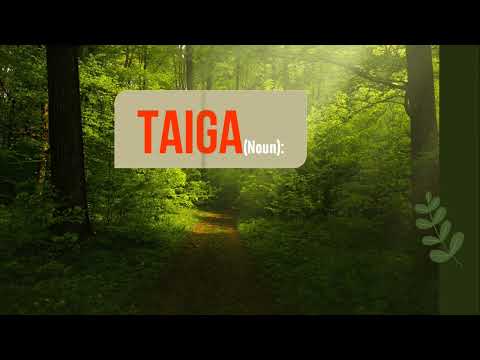 TAIGA | Dictionary| Thesaurus| Vocabulary| Synonyms|Word| Meaning| English| Language|
