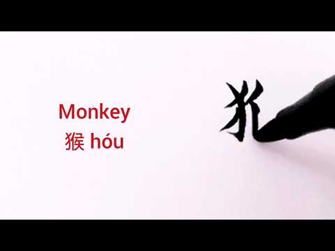 How to say and write MONKEY in Chinese (猴hóu)