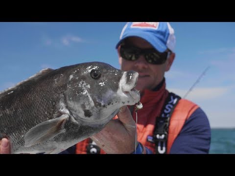 How to Catch Tautog with the Hogy Utility Rig