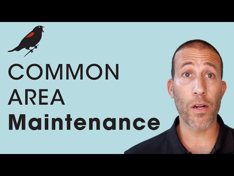 What are Common Area Maintenance (CAM) Expenses in Commercial Real Estate?