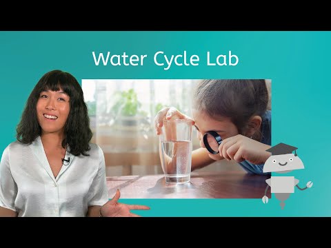 Water Cycle Lab - Environmental Science for Teens!