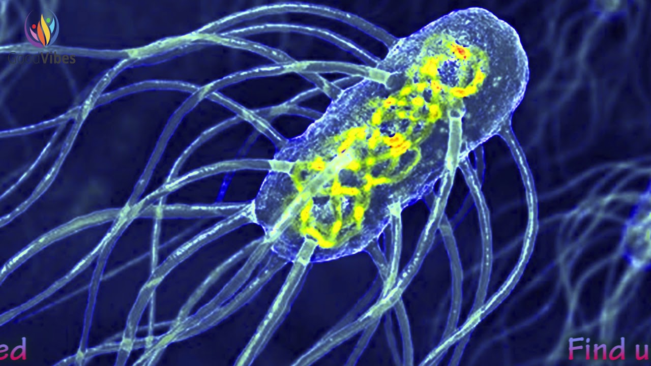 Bacterial Infection Healing Frequency: Heal Ear Infection, Infection Music