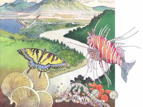 Introduction to TeachDNA Model: The Unity in Diversity