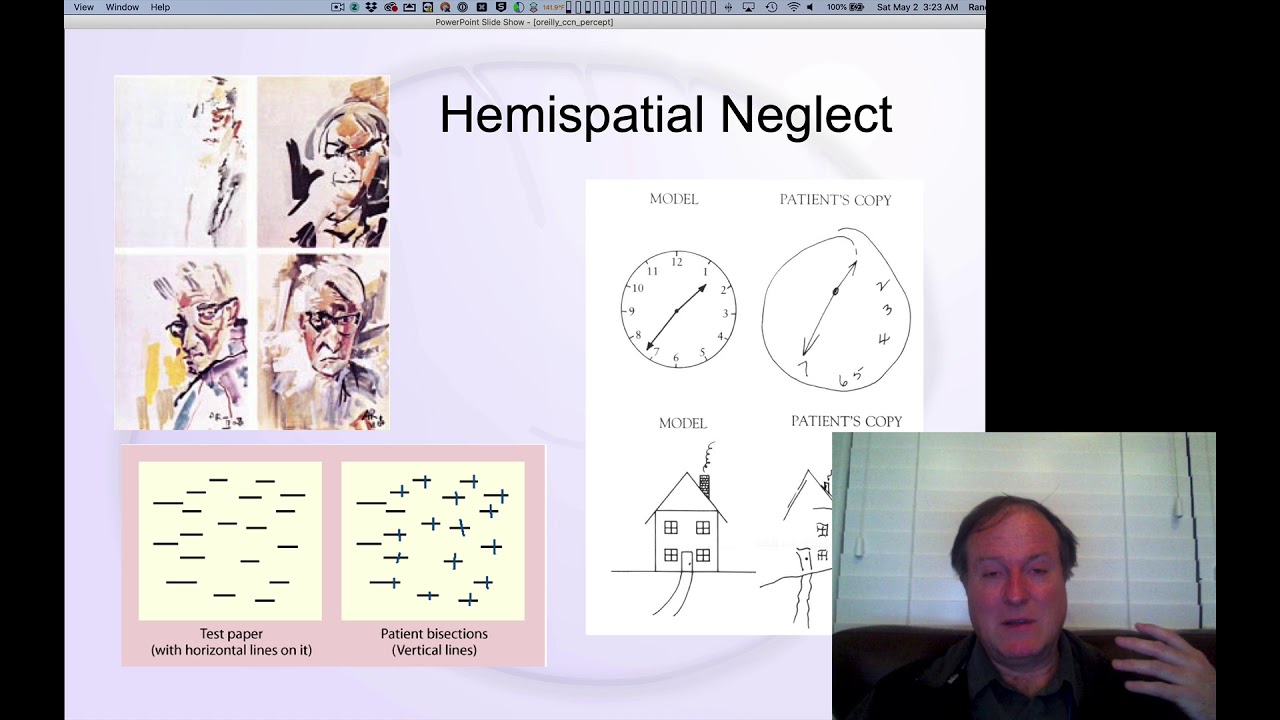 CCN Course 2020, Perception 7: Attention Intro