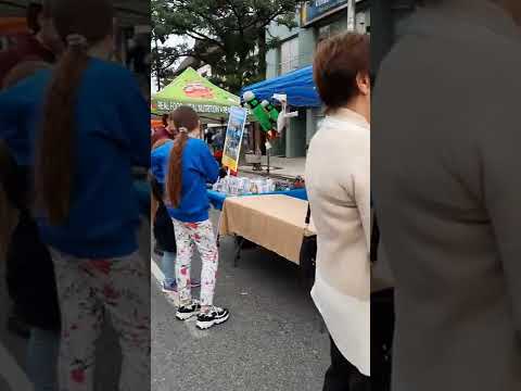 Ukrainian festival 2022 Bloor West Village souvenirs embroidered clothing to buy
