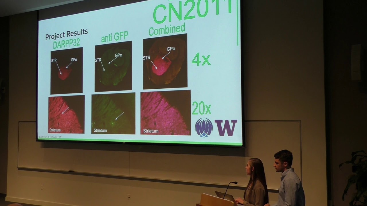 Charles Andrews & Haleigh Schwartz (Allen Institute: Lein Lab)