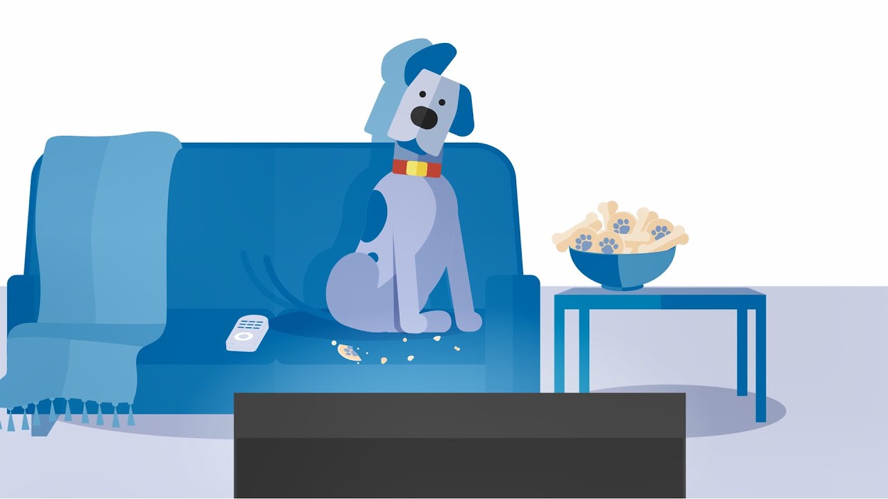 Knowledge Hub – Page 3 – PetSure