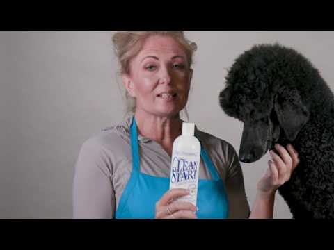 Chris Christensen Clean Start Clarifying Shampoo