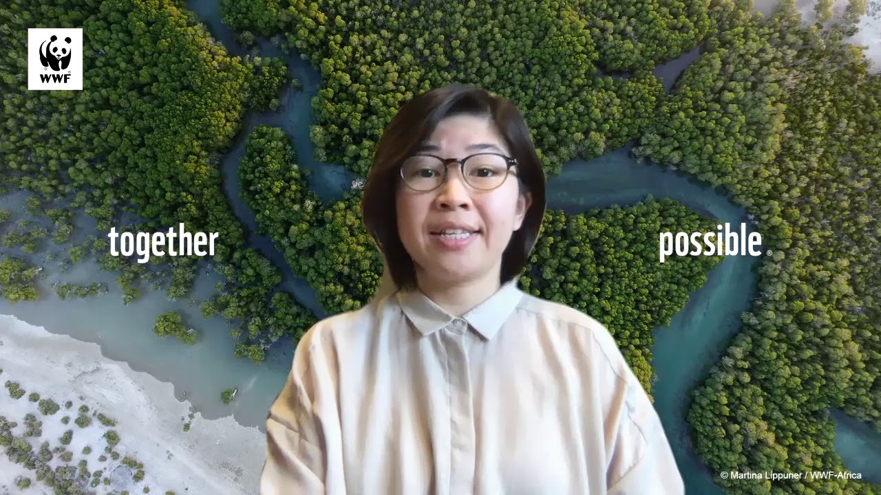 WWF - Climate Action Project