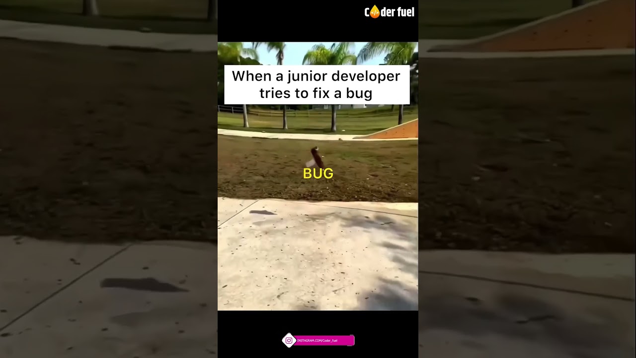 Junior Developer Attempts to Fix a Bug | Coding Challenge🤣 #shorts #coding #programming