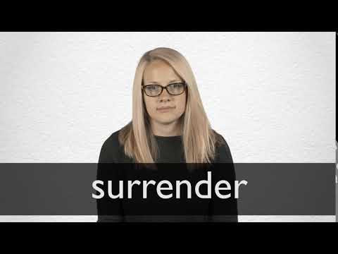 SURRENDER——含义、同义词和翻译| 柯林斯英语词典资源