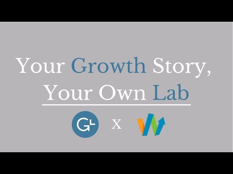 Software-Enabled Service Company | Winalytics