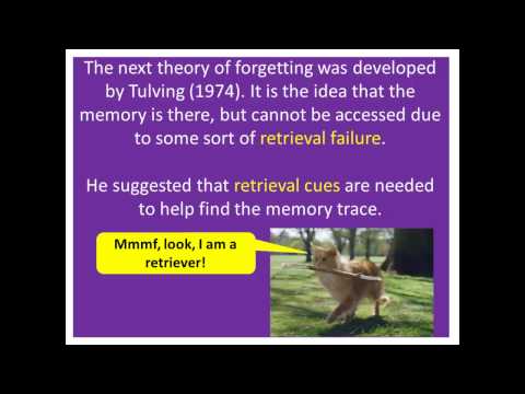 2 theories of forgetting