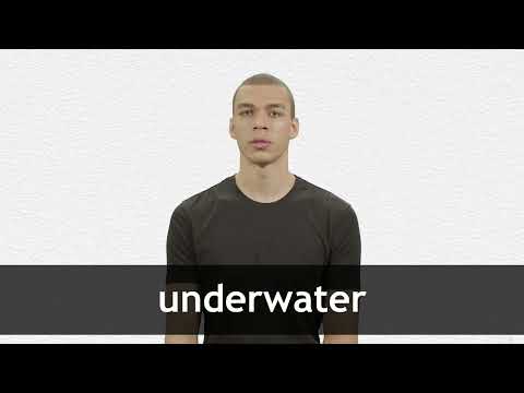 UNDERWATER definition and meaning | Collins English Dictionary