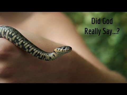 Did God Really Say...? Genesis 3:1-7