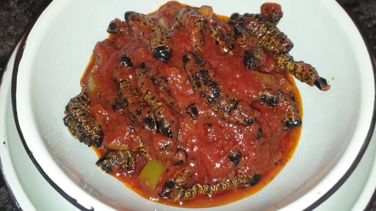 Masonja / Mopani / Mopane Worm Recipes – The Best African Dried Moth ...