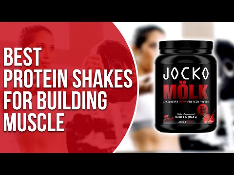 Best Protein Shakes for Building Muscle: An Expert Guide (Our Standout Recommendations)