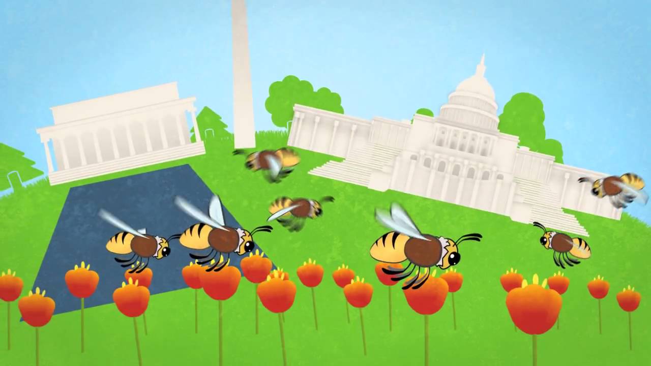 Beekeeper Group's Hive Model for Advocacy