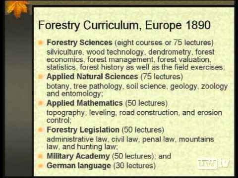 History of Forestry in the United States