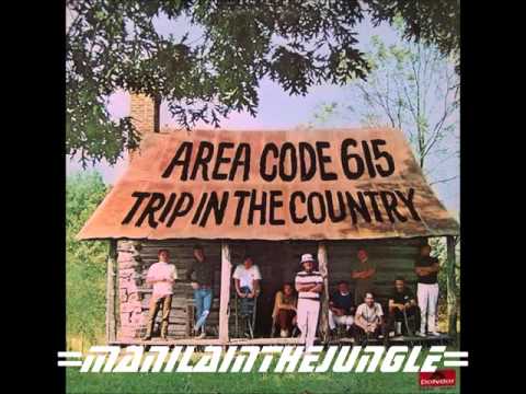 AREA CODE 615 - Stone Fox Chase (1970)