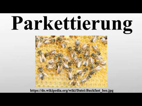 Parkettierung