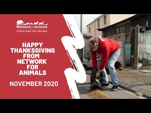 Happy Thanksgiving from Network for Animals!
