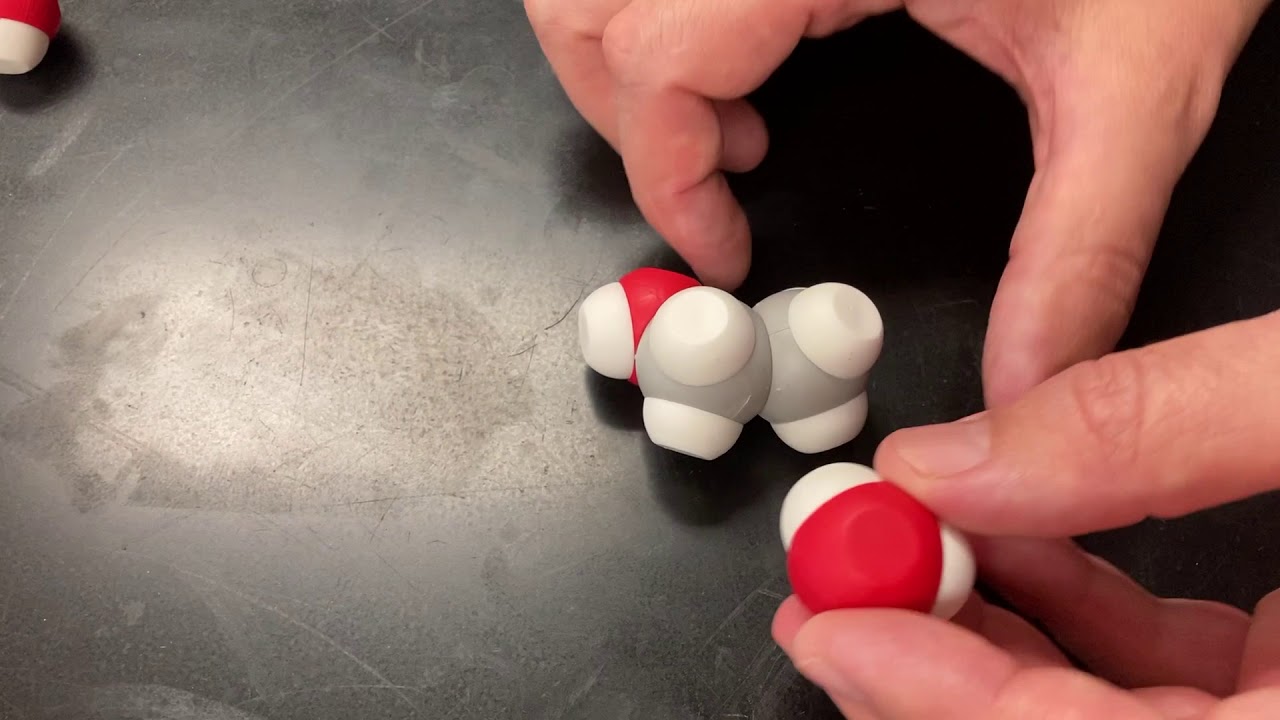 Alcohol and Water Molecule