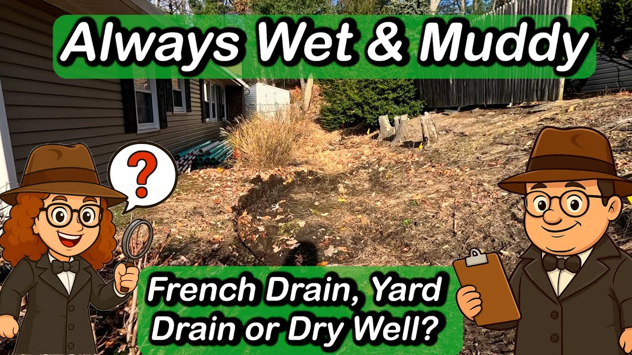 Which Drainage System Would YOU Choose? (U.S. Drainage Evaluation)