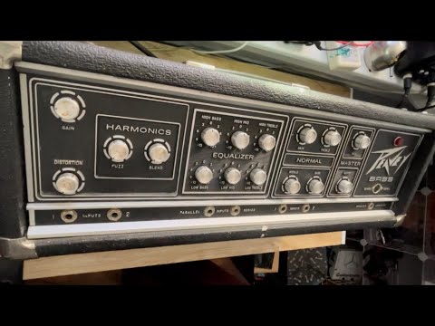 Peavey “The Bass” repair