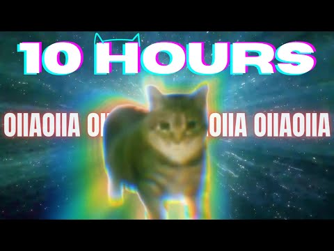 OIIA OIIA CAT 10 HOURS