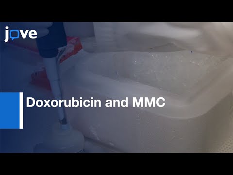 Doxorubicin and MMC Investigation in Nanoparticels Drug Delivery | Protocol Preview
