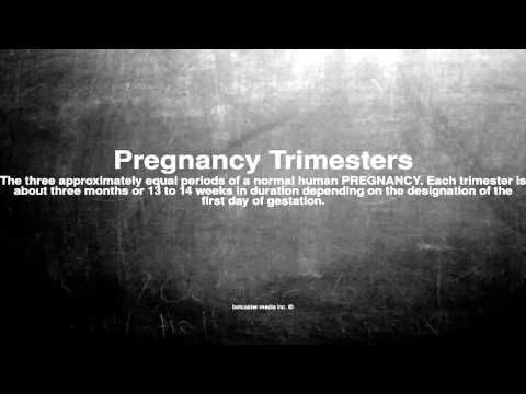 Medical vocabulary: What does Pregnancy Trimesters mean
