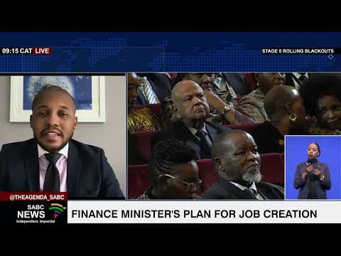 Budget 2023 | Finance Minister's plan for job creation : Ndumiso Hadebe