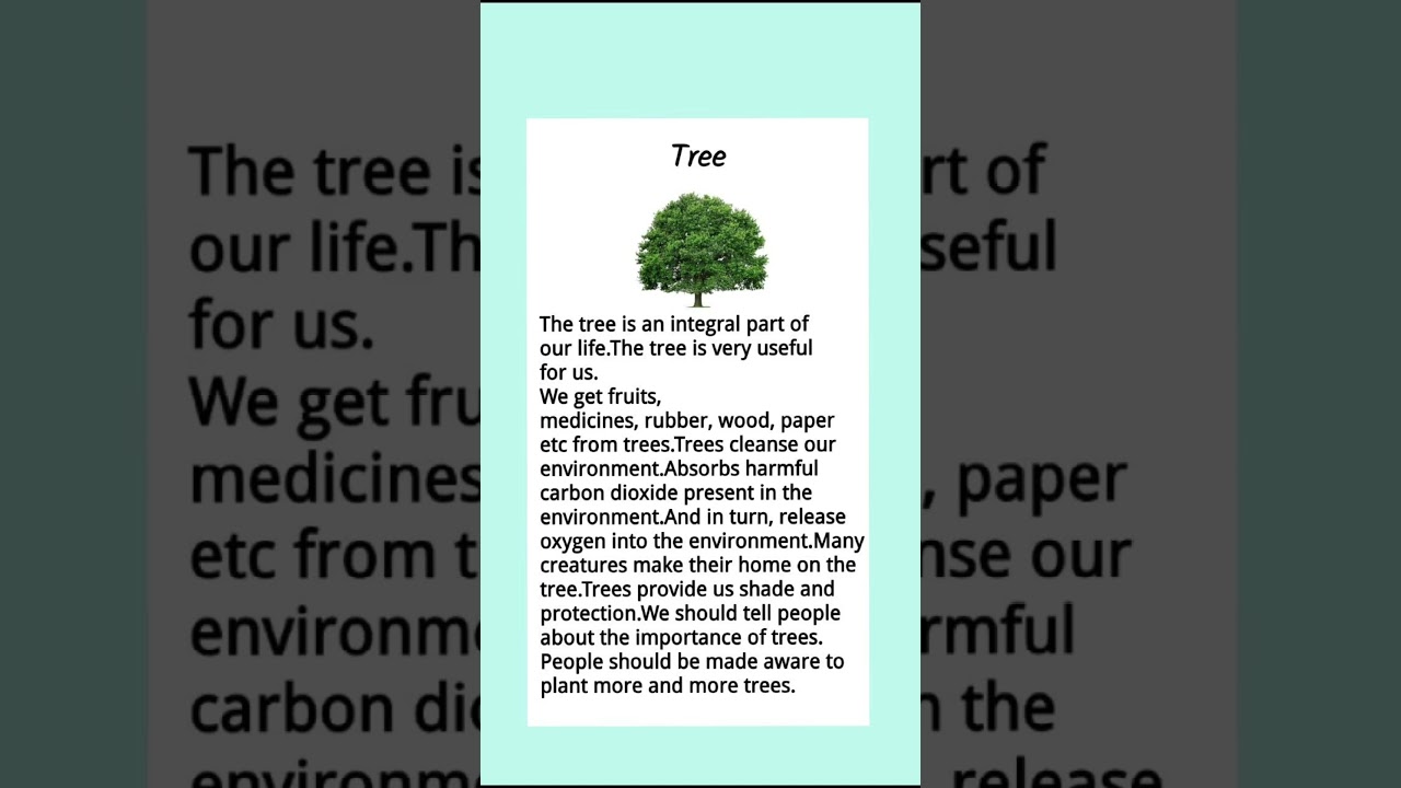 10 Lines On Trees/Essay On Trees/10 Lines Essay On Trees/Essay On Importance Of Trees/Trees Essay