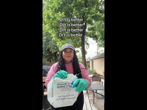 DIY Pest Control That Actually Works