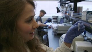 Graduate Researcher Overview | What is a graduate researcher? - Zippia