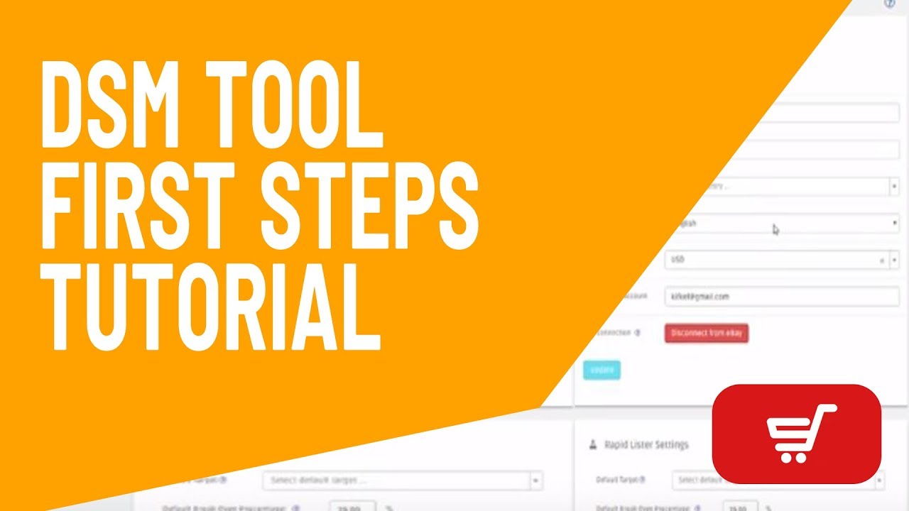DSM Tool - First Steps Tutorial (Beginners)