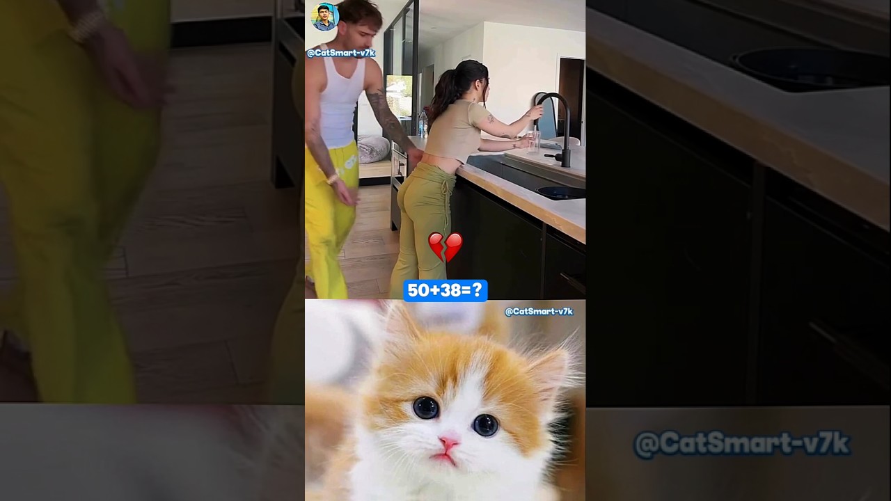 #memeedit