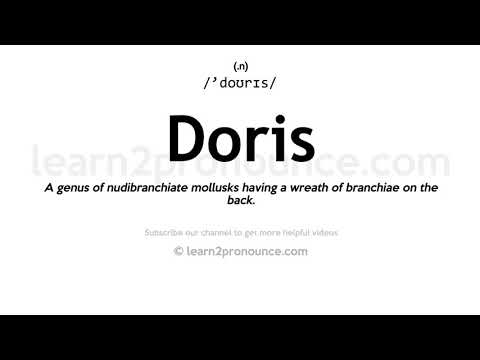 Pronunciation of Doris | Definition of Doris