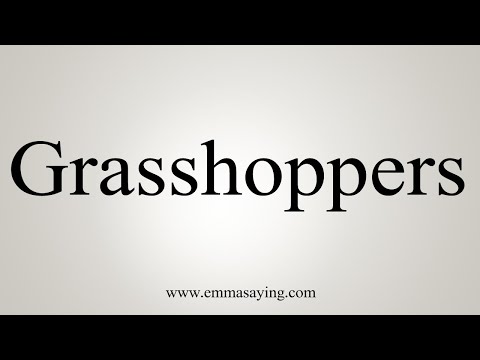 How To Say Grasshoppers